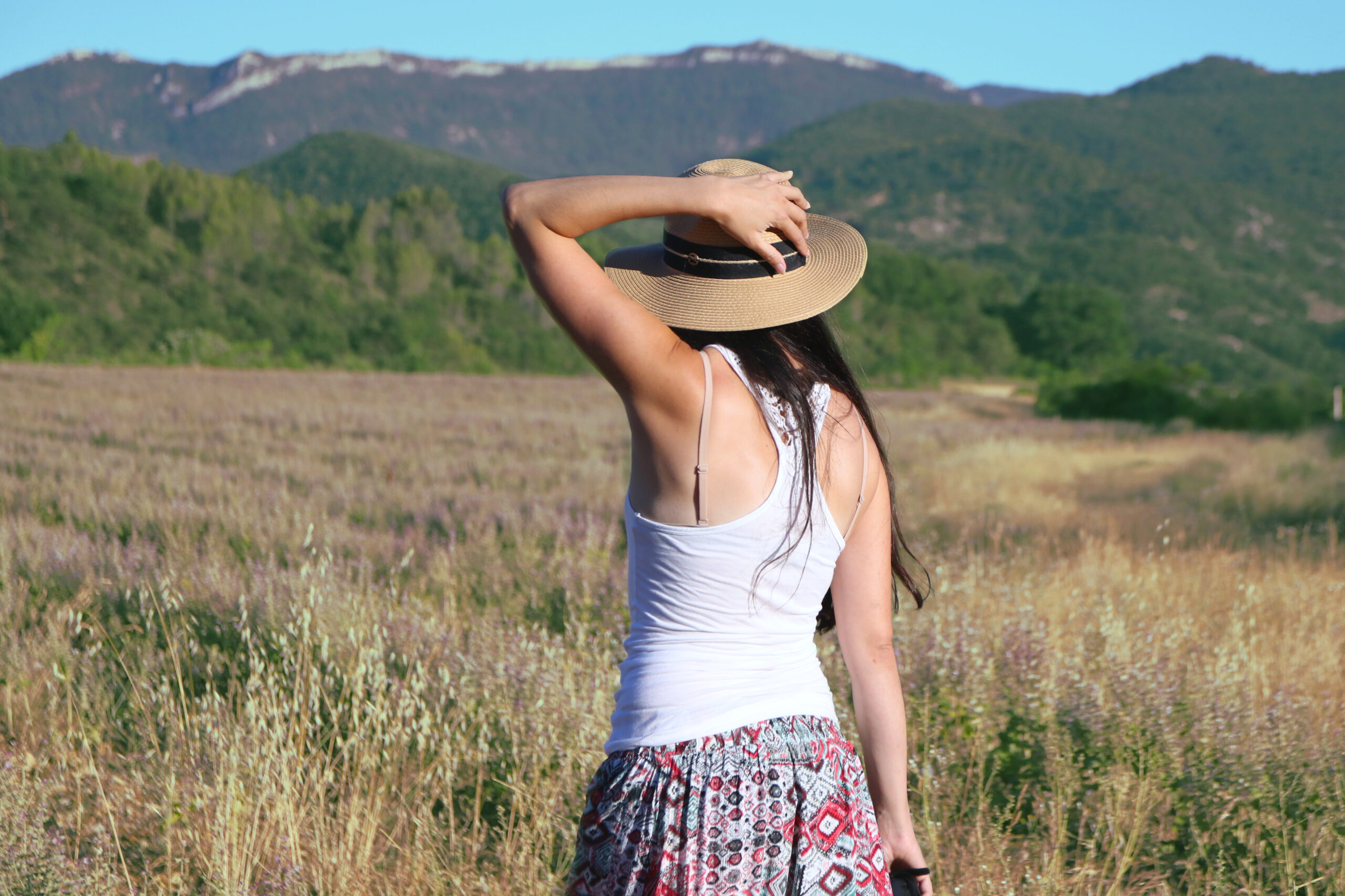 Accueil - Déborah AUCLAIR, illustratrice et naturaliste