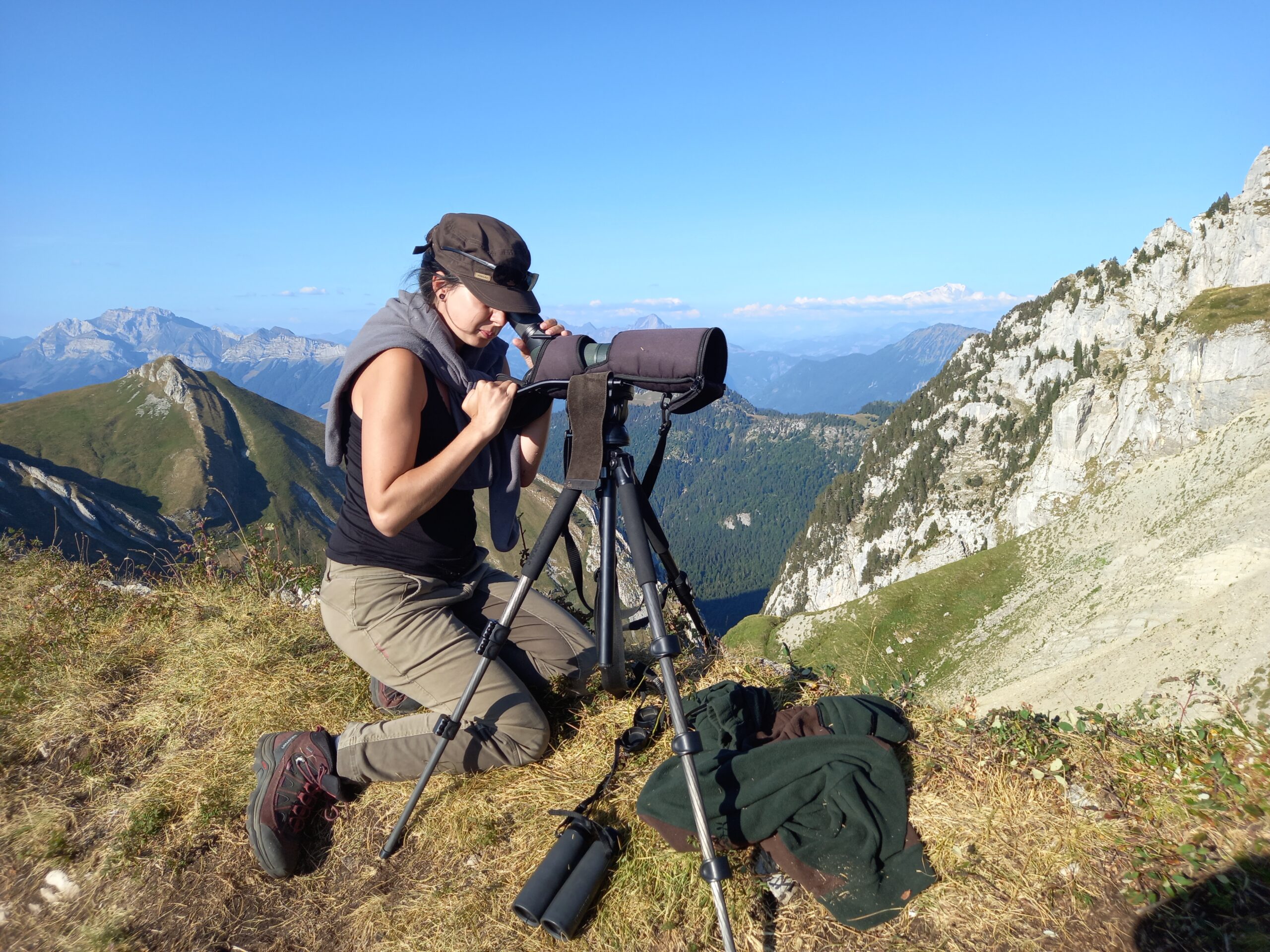 Accueil - Déborah AUCLAIR, illustratrice et naturaliste